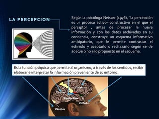 Las percepciones | PPTX