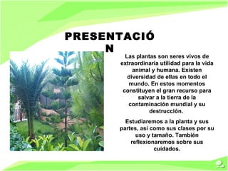 LAS PLANTAS | PPT