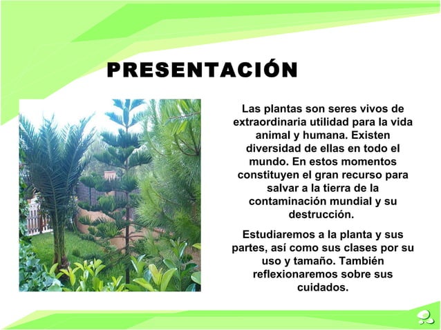 LAS PLANTAS | PPT