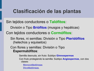 Las plantas | ODP