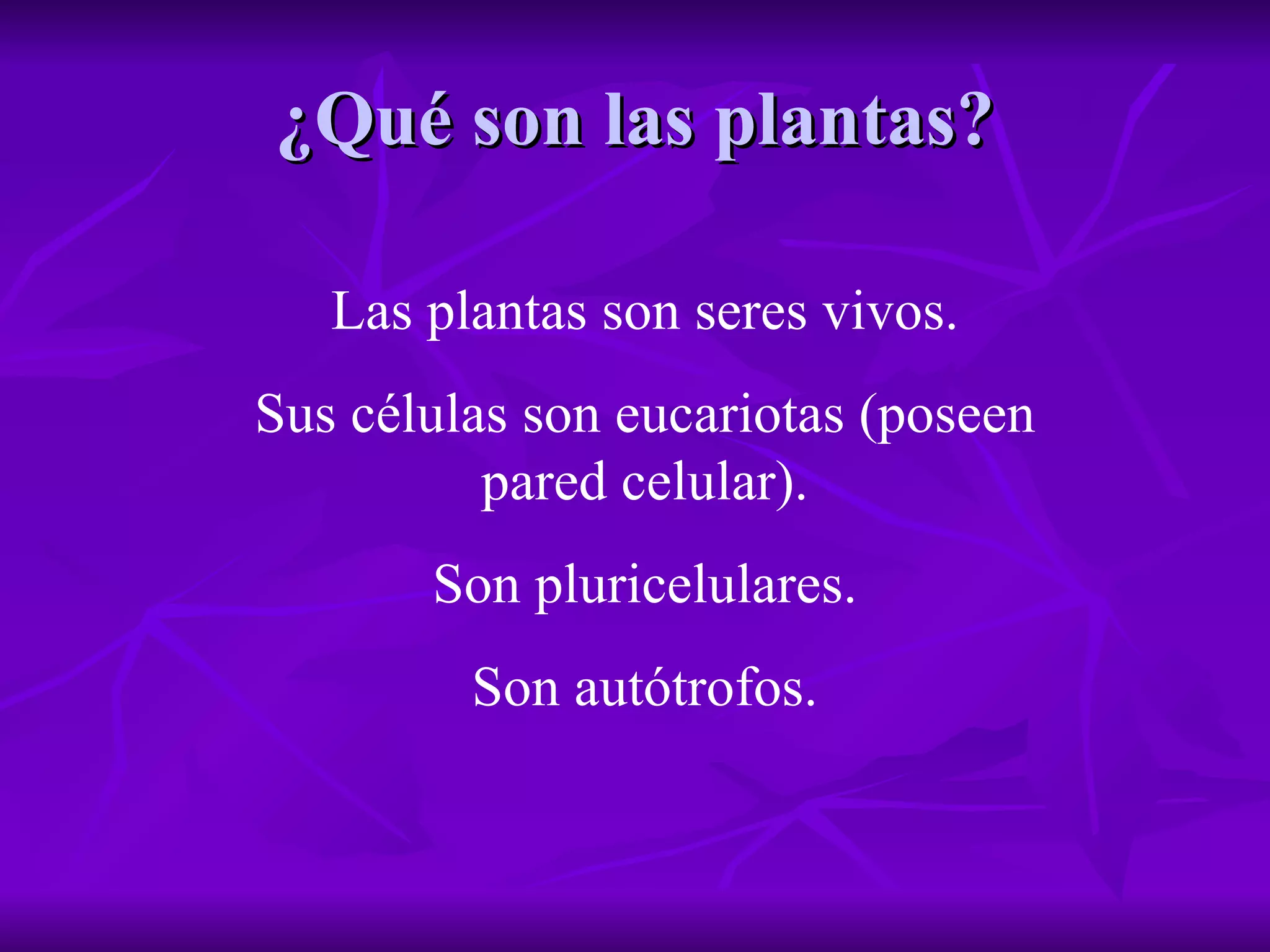 Las Plantas Ppt Descarga Gratuita