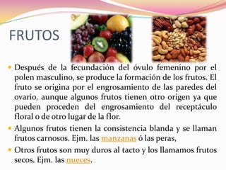 Las plantas | PPT