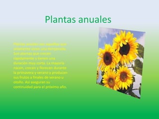 Las Plantas y su clasificacion | PPTX