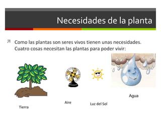 Las plantas | PPT