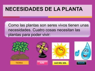 Las plantas | PPT