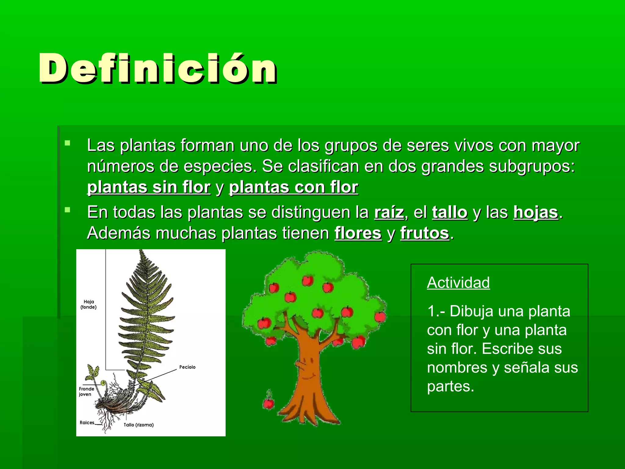 Diapositivas de las plantas | PPT