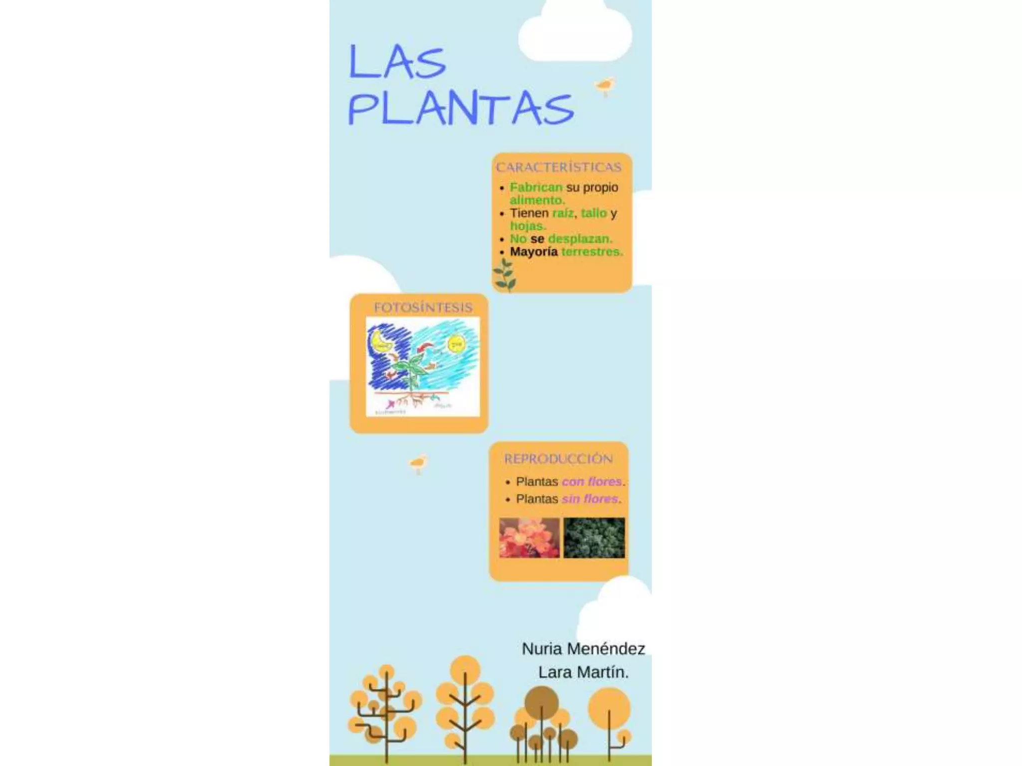 Las plantas | PPT