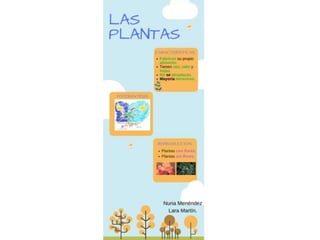 Las plantas | PPTX