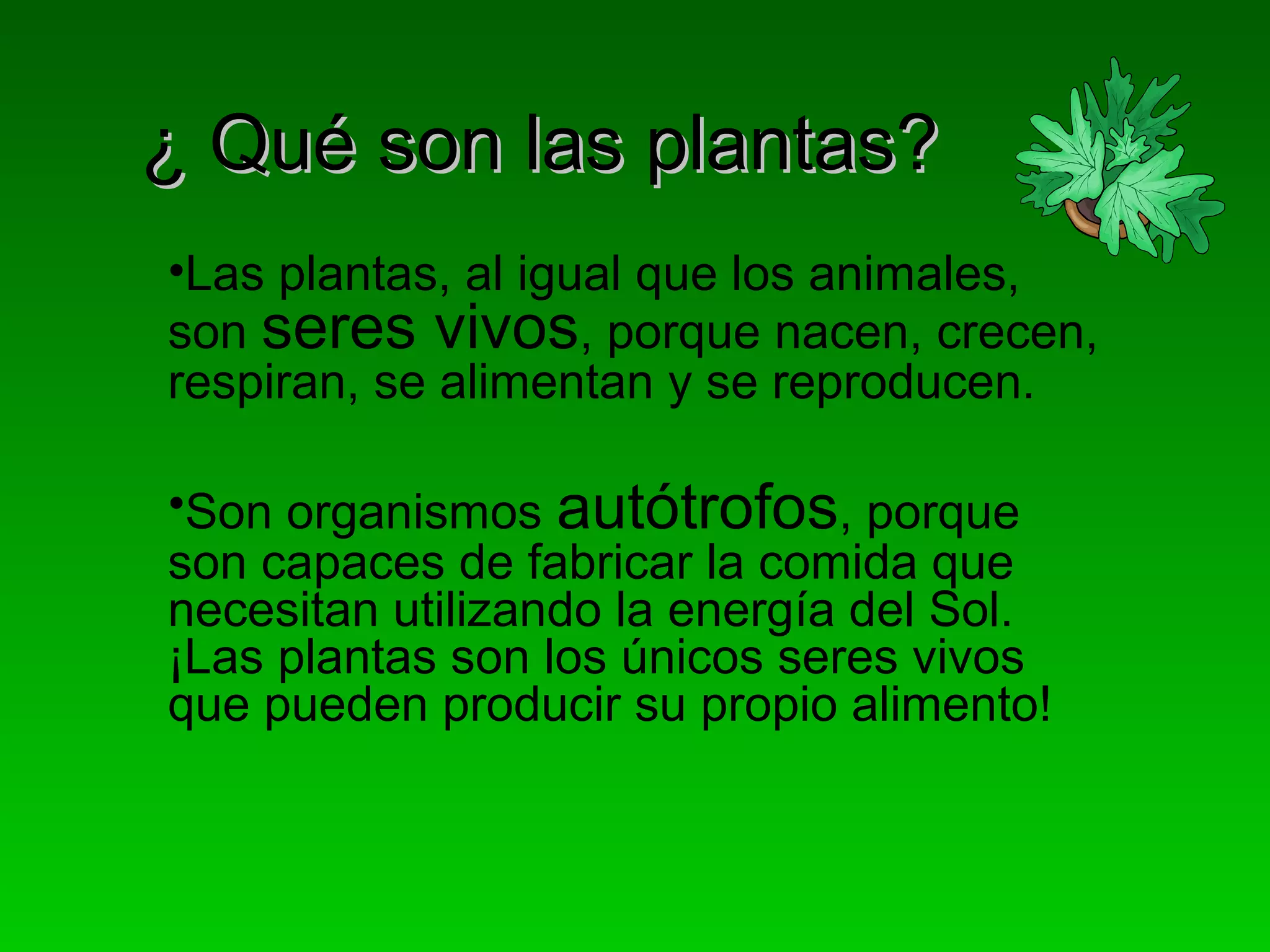 Las plantas | PPT