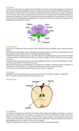 Las plantas.docx