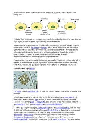 LAS PLANTAS.docx