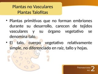 las plantas y algunas definiciones ppt 2 | PPTX