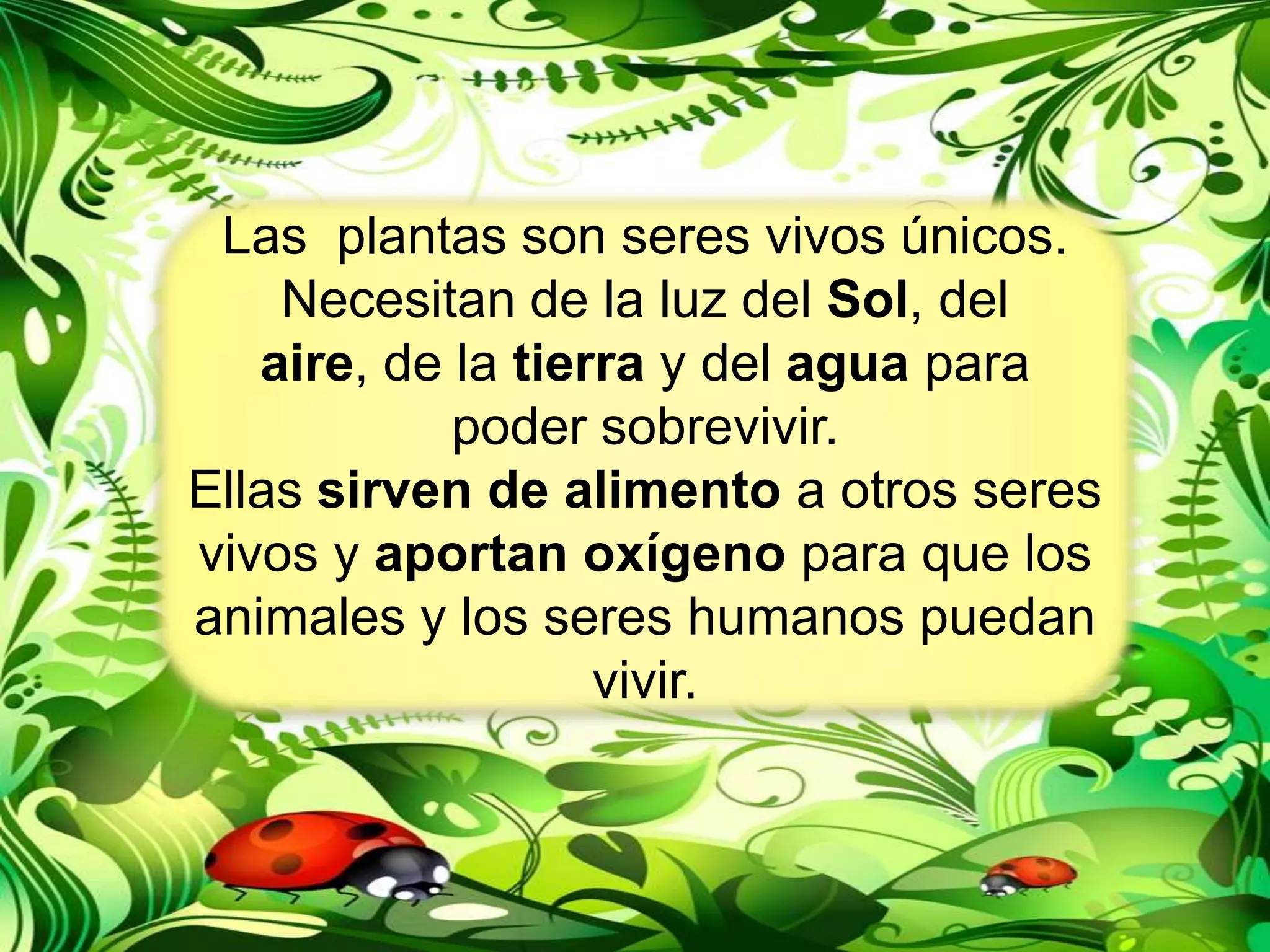 Las plantas y su clasificación | PPT