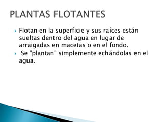 Las plantas acuaticas | PPTX