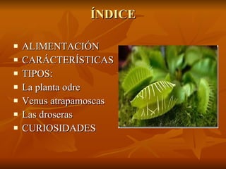 Las Plantas Carnivoras | PPT