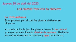 LAS PLANTAS ELABORAN SU PROPIO ALIMENTO.pptx