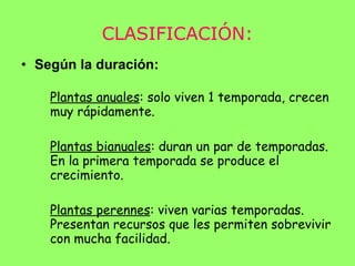 Las plantas power | PPT