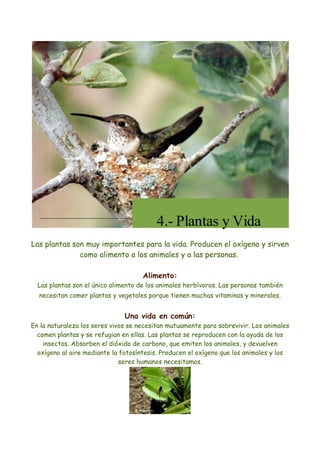 Las plantas, usos | PDF