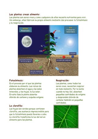 Las plantas, usos | PDF