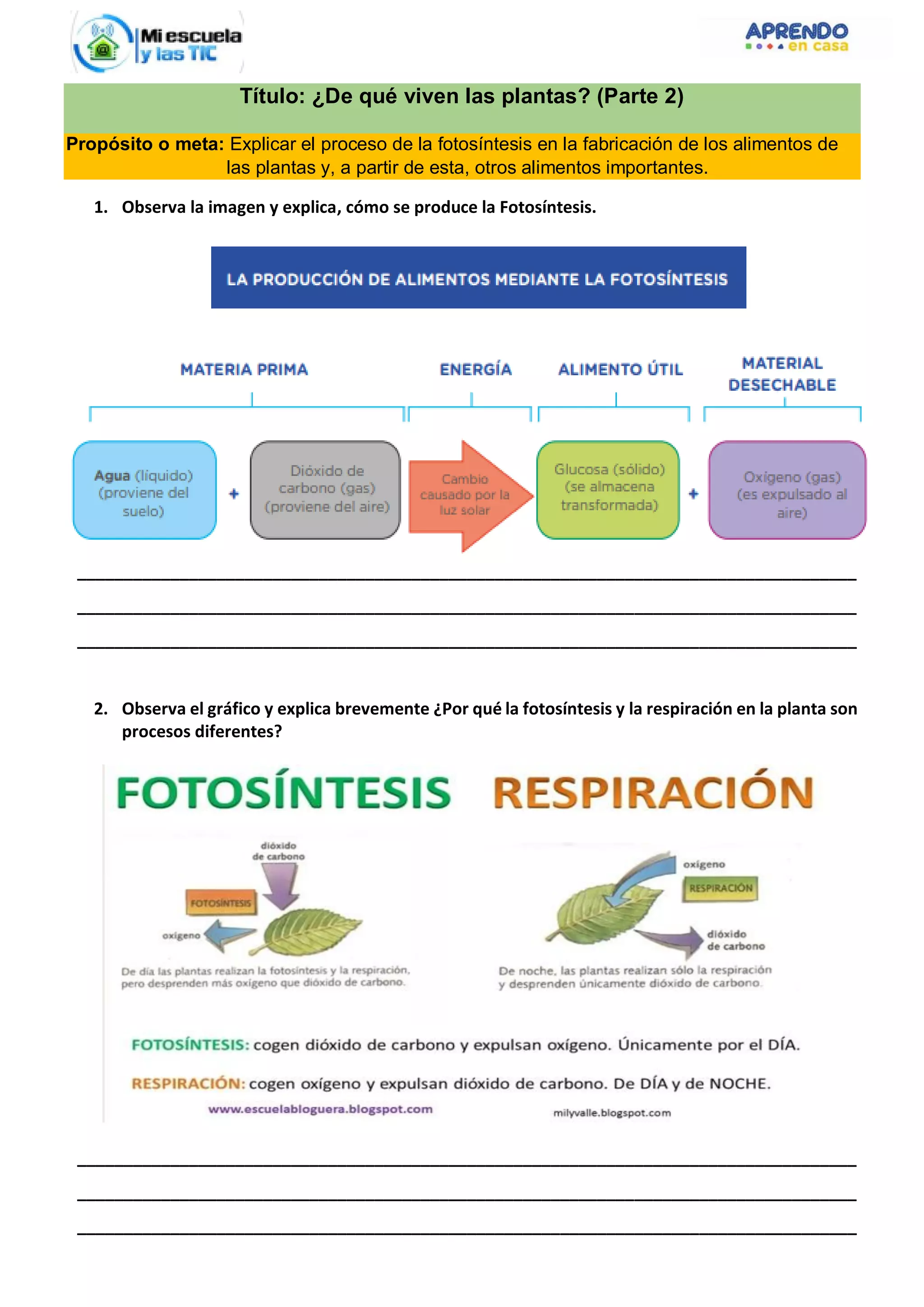 Las plantas y la fotosíntesis parte 2 | PDF