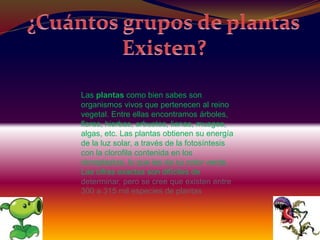 Las plantas y los animales | PPTX