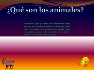 Las plantas y los animales | PPTX