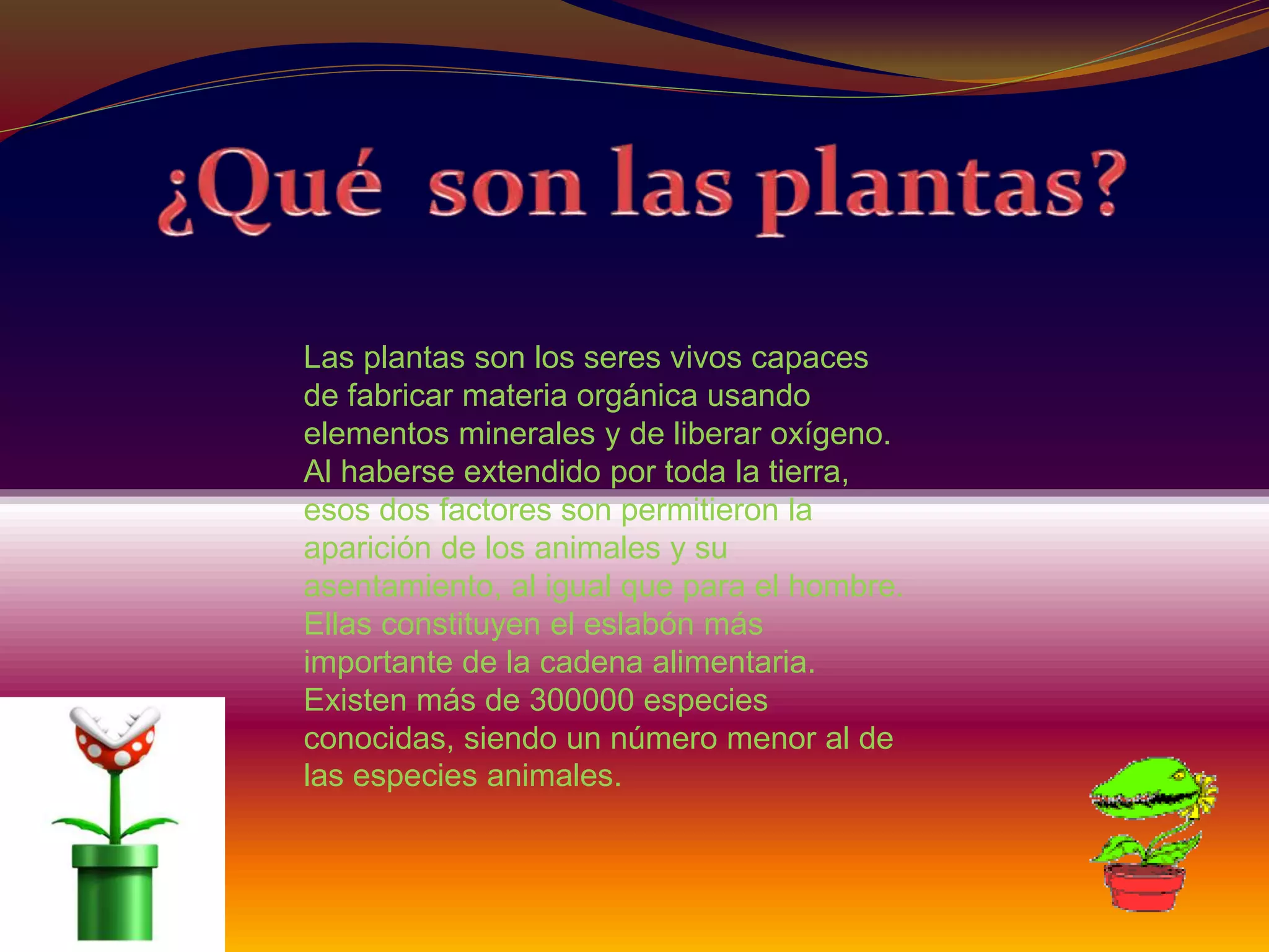 Las plantas y los animales | PPTX