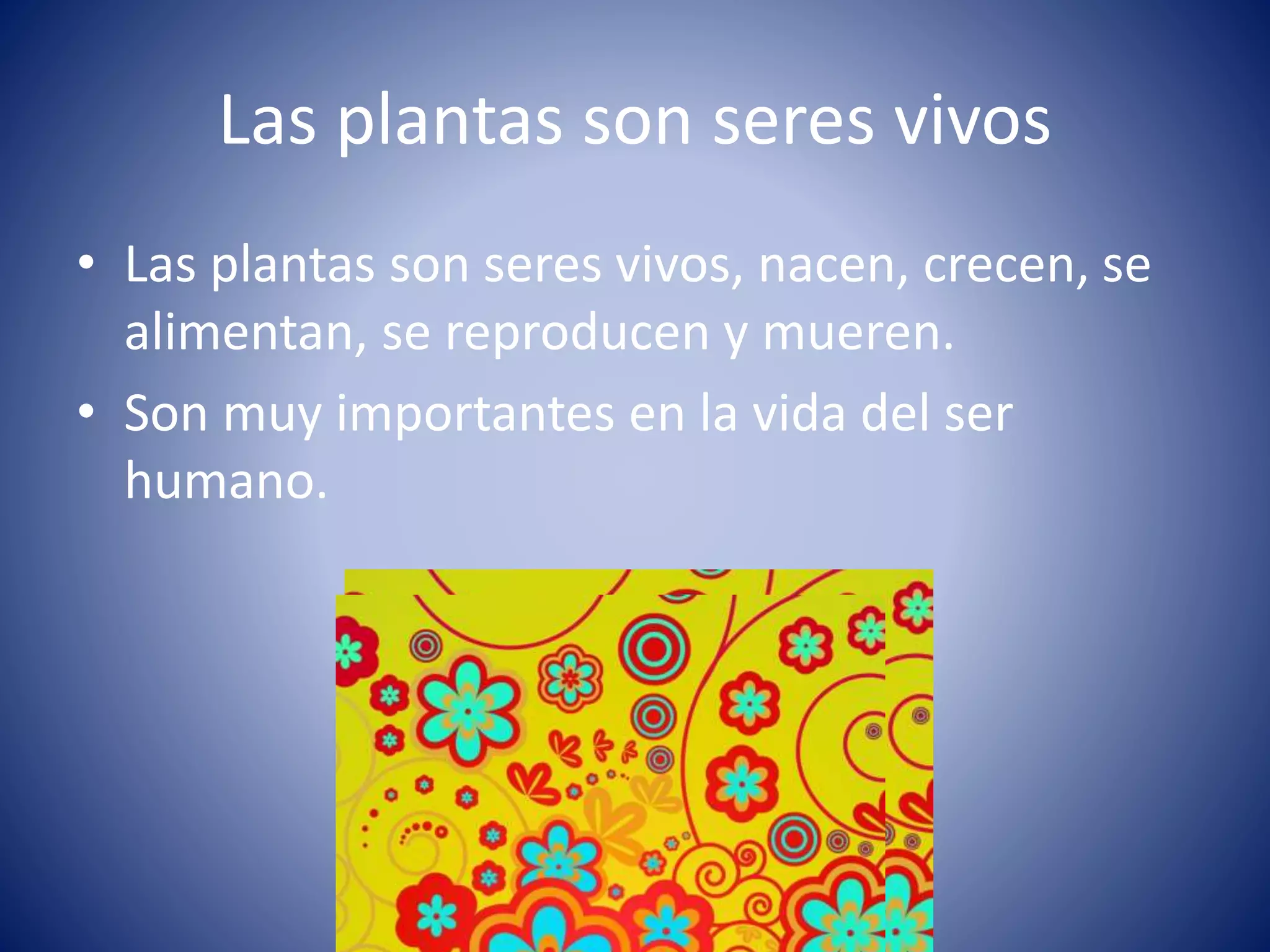 Las plantas y sus partes | PPTX | Biological Sciences | Science