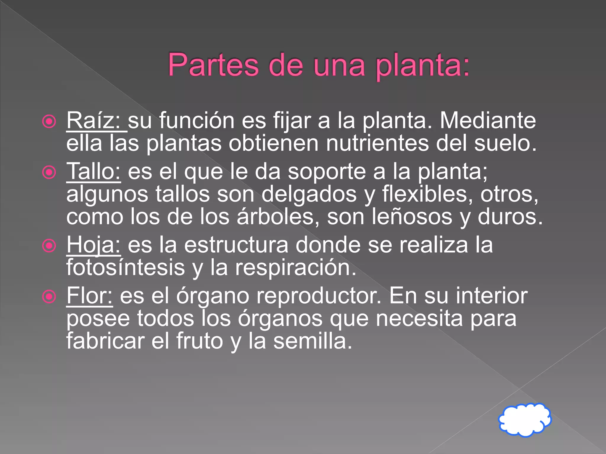Las plantas y sus partes | PPT