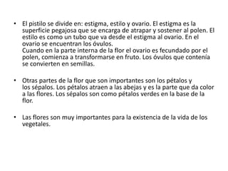 Las plantas y sus partes | PPTX