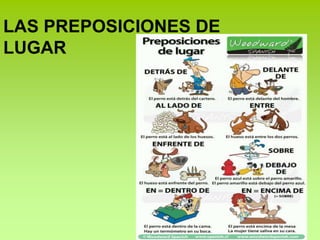Las preposiciones y adverbios de lugar.pptx