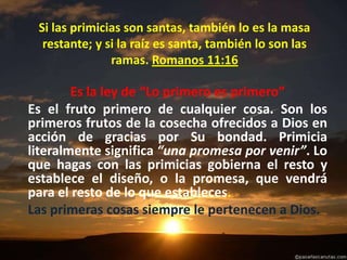 LAS PRIMICIAS | PPTX