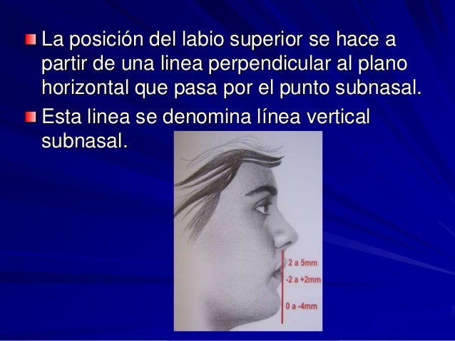 Las proporciones del rostro ortodoncia