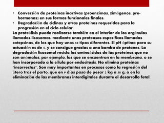 Las proteinas y su metabolismo | PPTX