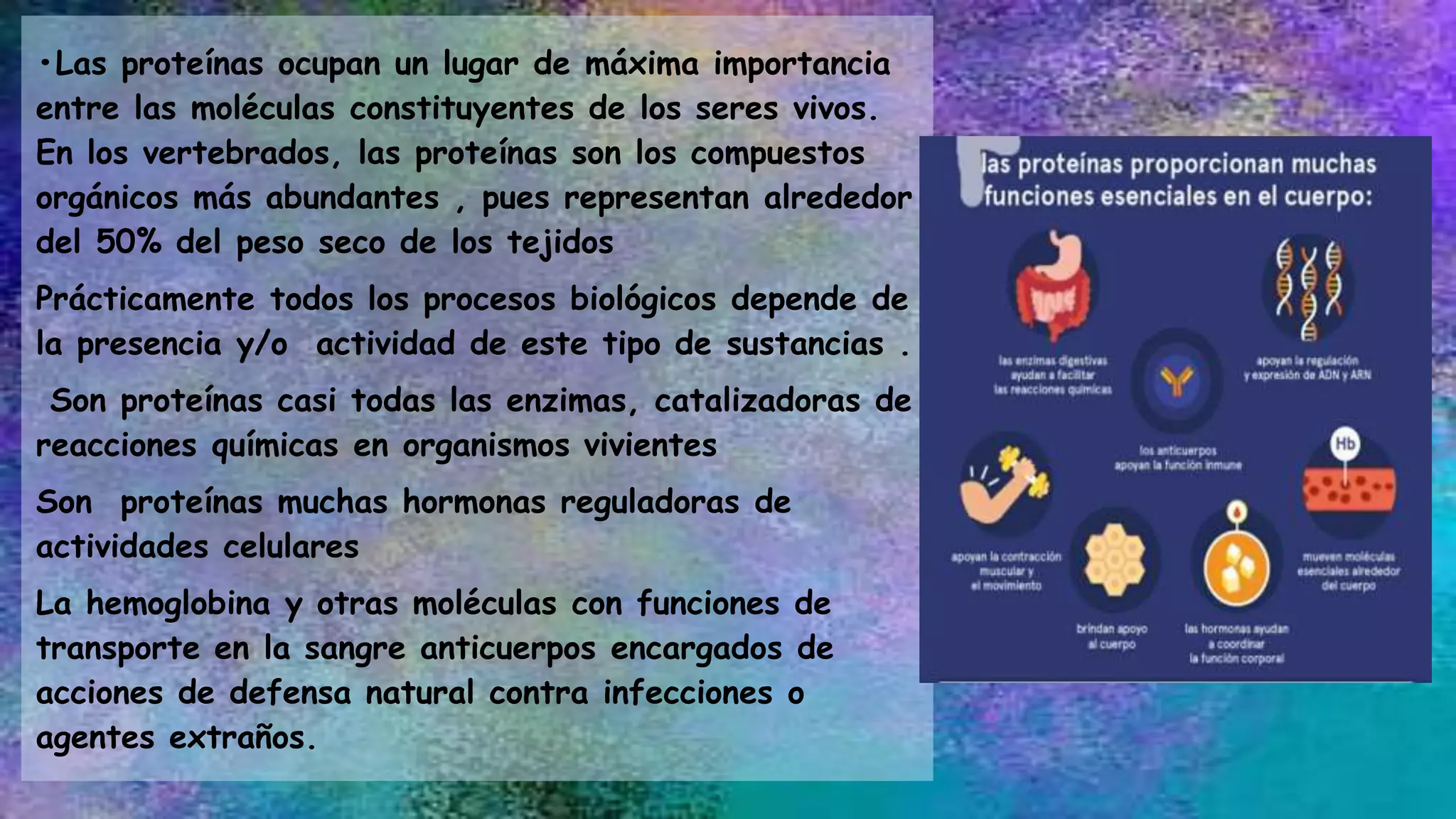 - LAS PROTEINAS .pptx