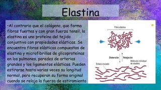 - LAS PROTEINAS .pptx