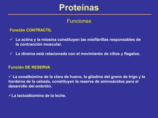 Las proteinas | PPTX