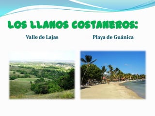 Las provincias geomofórmicas de Puerto Rico | PPTX