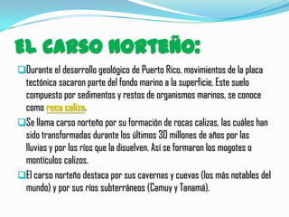 Las provincias geomofórmicas de Puerto Rico | PPTX
