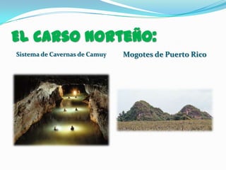 Las provincias geomofórmicas de Puerto Rico | PPTX