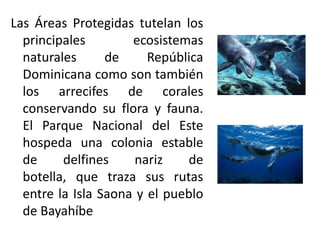 Las áreas protegidas en República Dominicana | PPTX