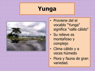 Las regiones naturales del perú ( lucero ) | PPTX