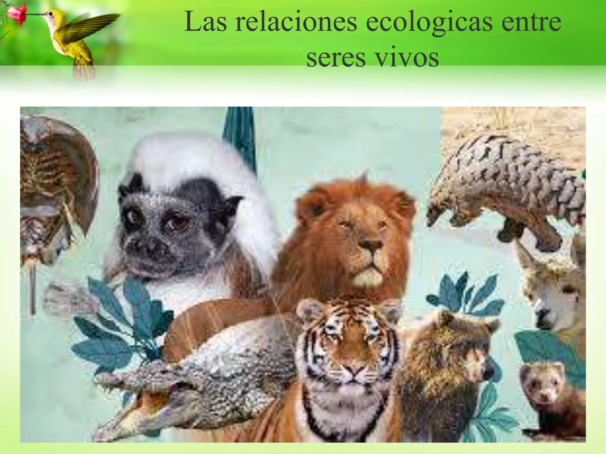 Las relaciones ecologicas entre seres vivos.pptx