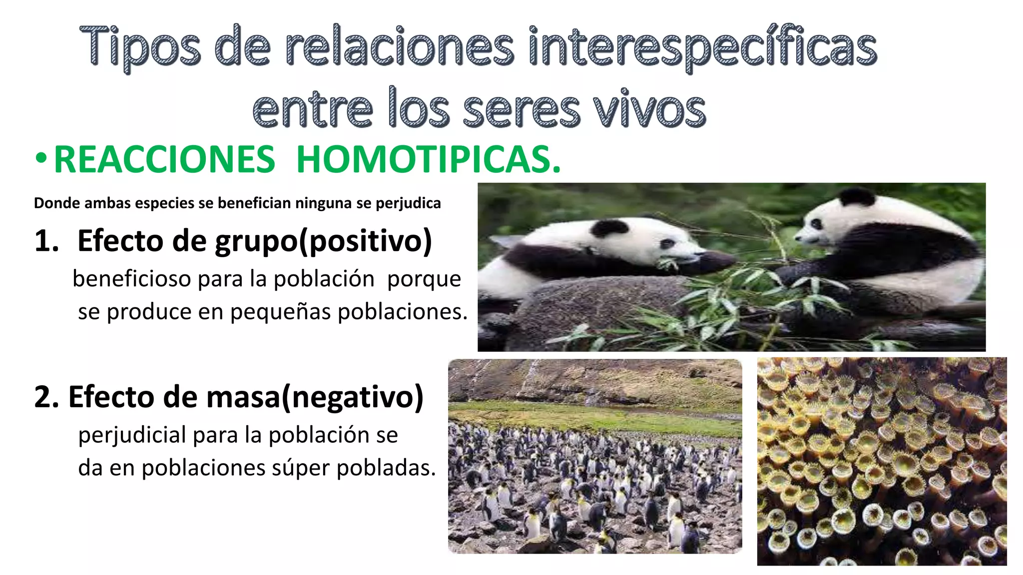 Las relaciones interespecíficas entre los seres vivos.expocicion de ...
