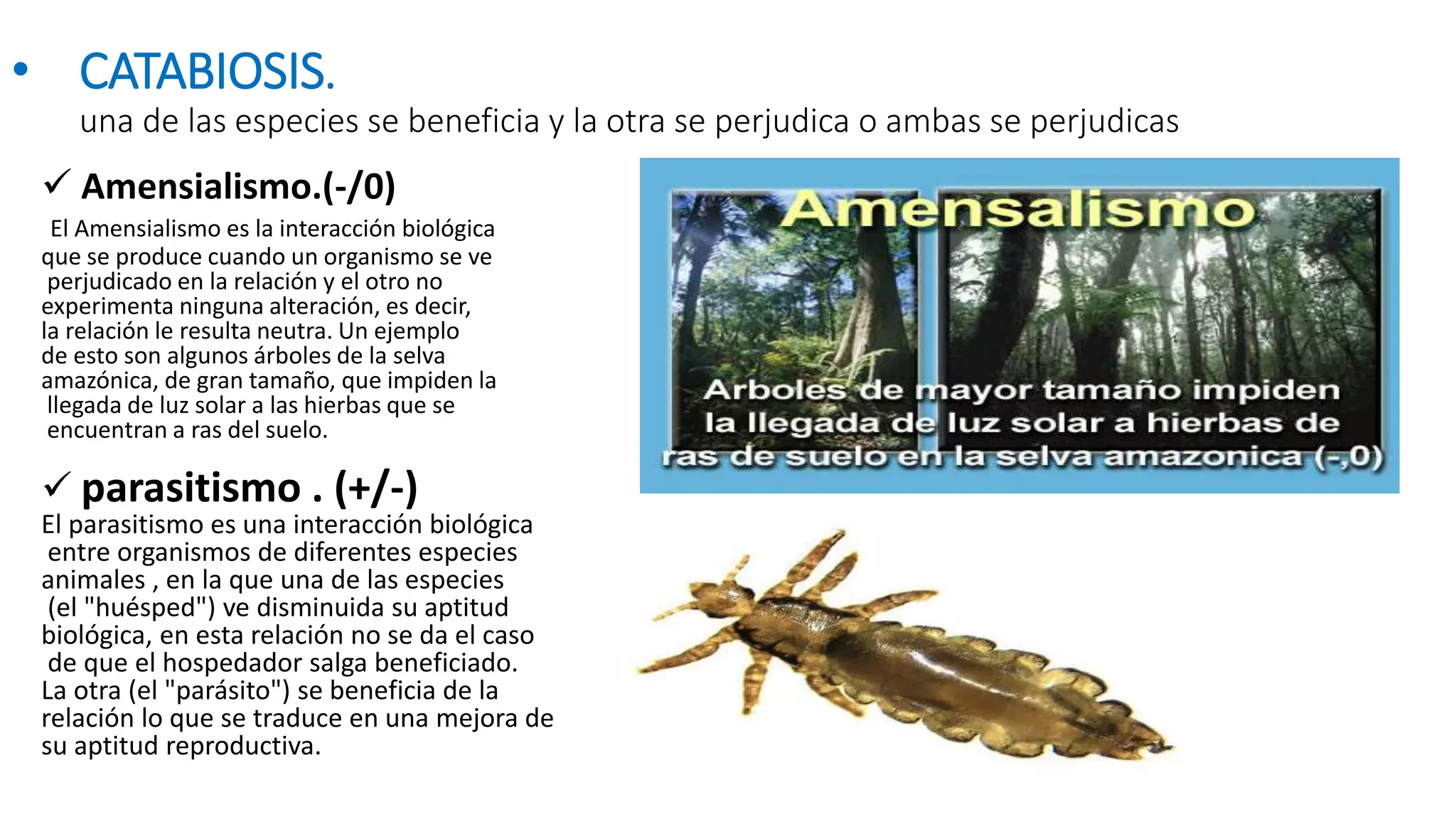 Las relaciones interespecíficas entre los seres vivos.expocicion de ...