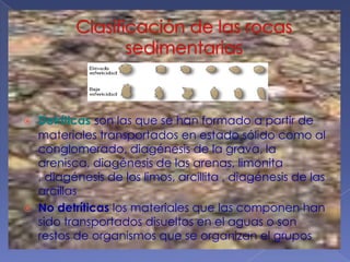 Las Rocas Sedimentarias | PPTX