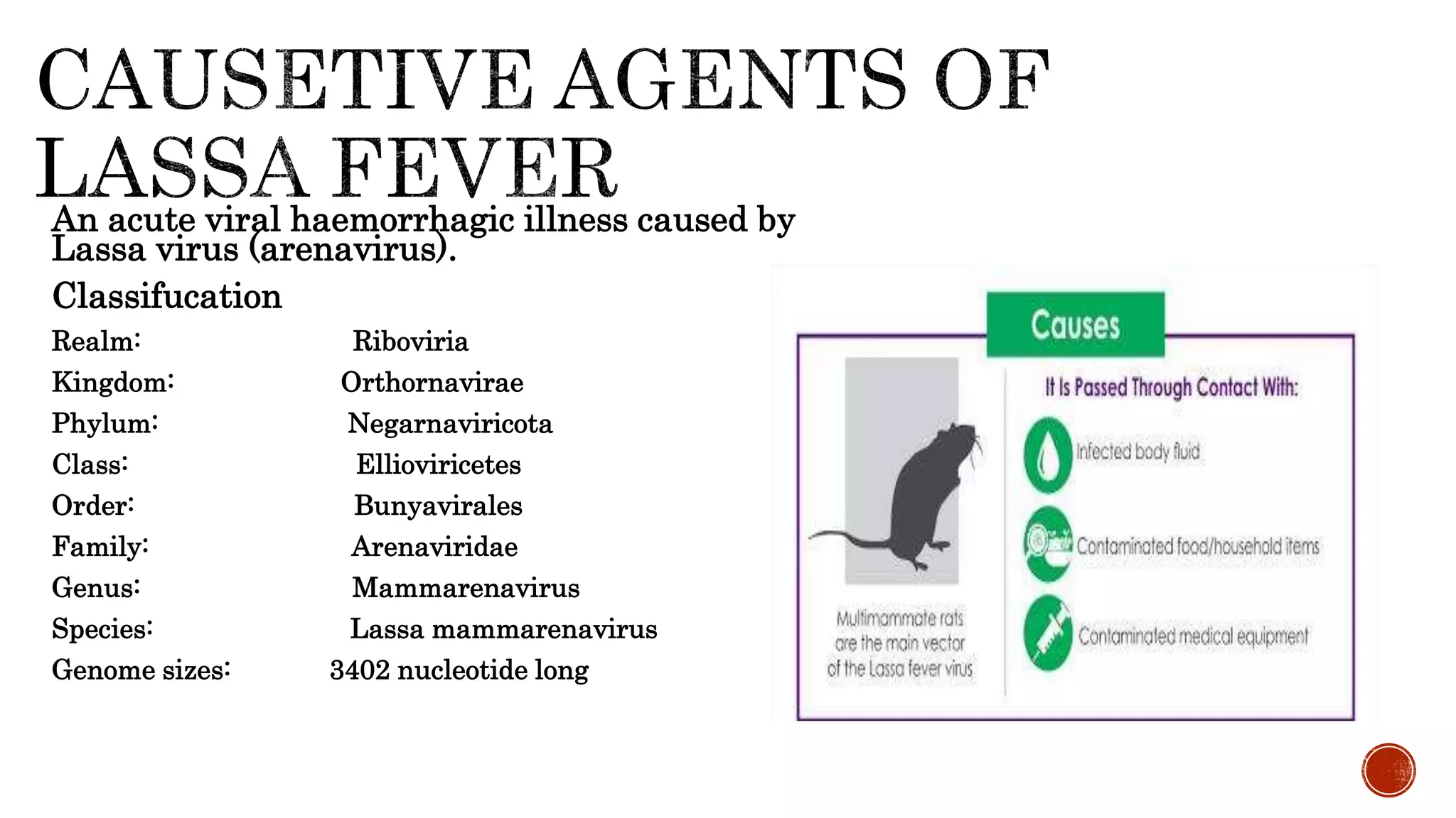 Lassa%20Fever%2040%20E-1.pptx