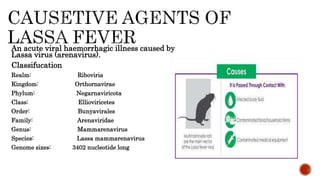 Lassa%20Fever%2040%20E-1.pptx