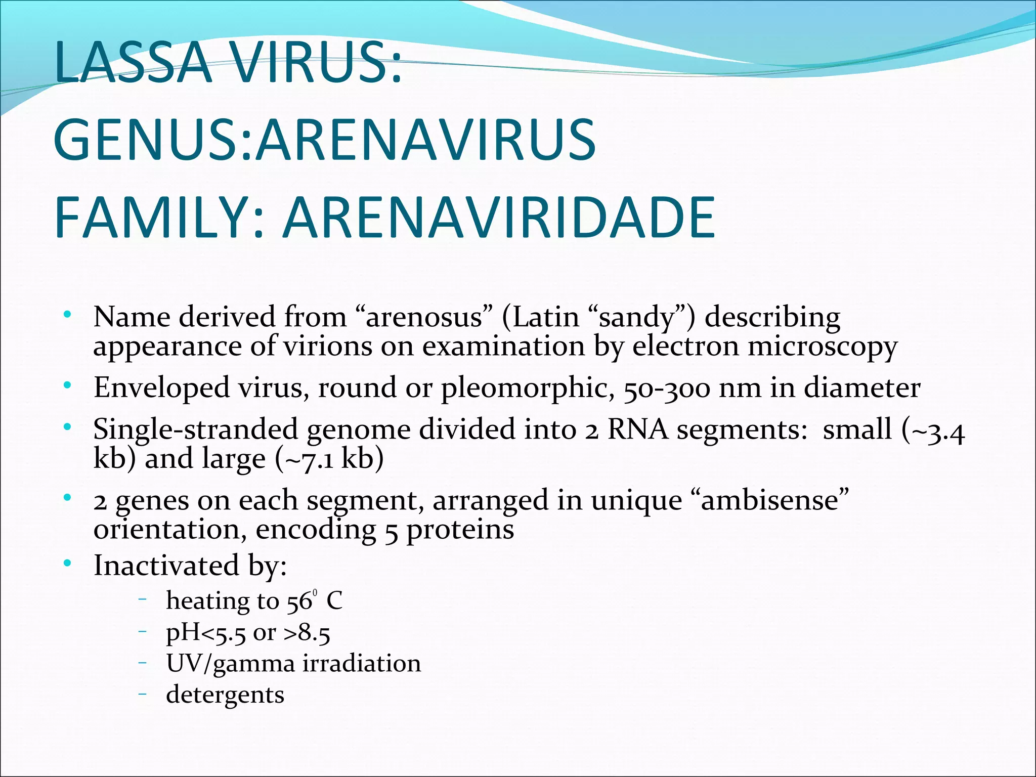 Lassa Fever | PPT