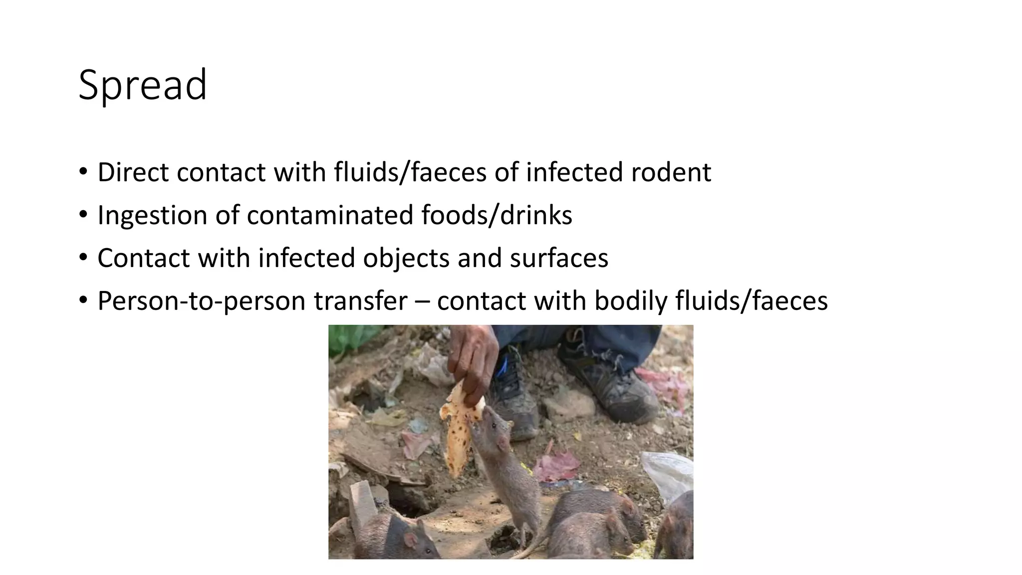 Lassa fever by Dr Afuye O.O. | PPT